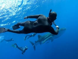 Learn How to Increase Your Breath-Hold with Freedive Coach Tom Peled